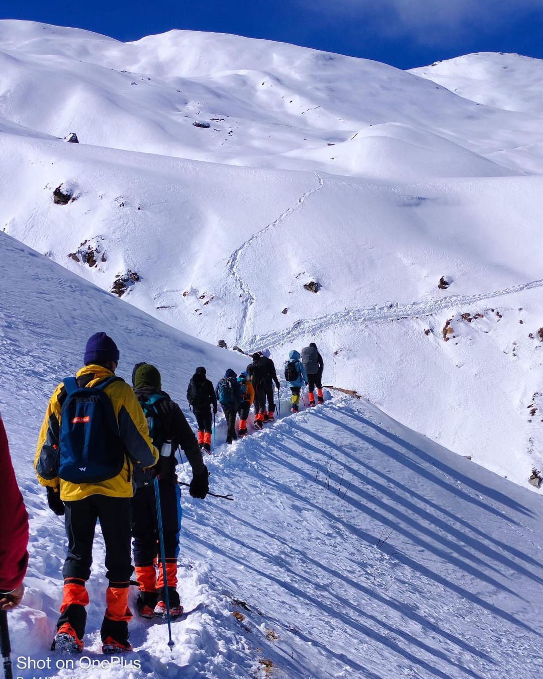 Winter Kuari Pass Trek – Snowy Himalayan Adventure - Chalo Travellers